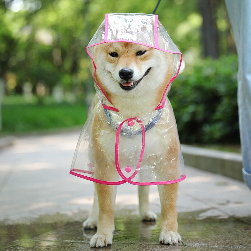 Outdoor large waterproof clear pet raincoat